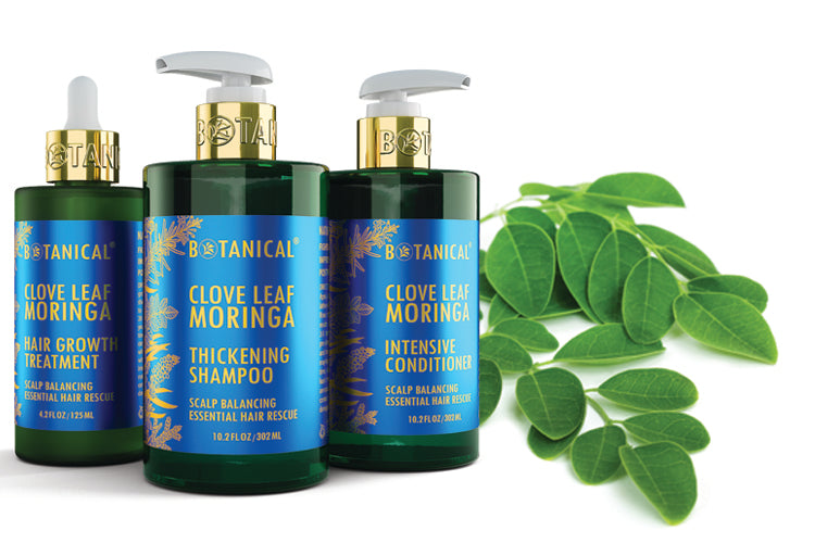 Clove Leaf Moringa Conditioner For Hair Loss – 10.2 Fl Oz – BOTANICAL ...