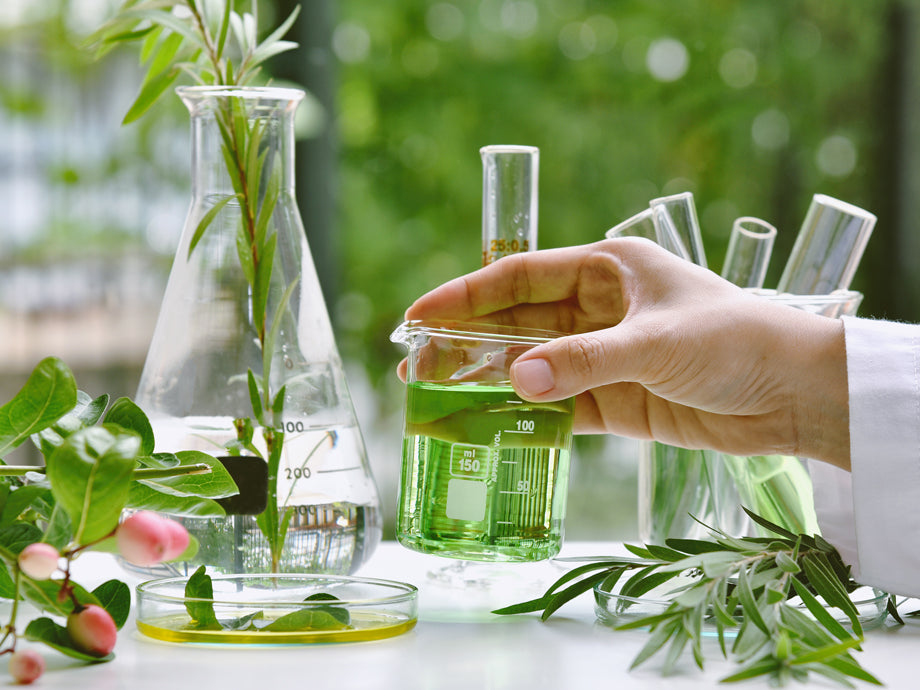 Stress Hair Loss Botanical Green Lab